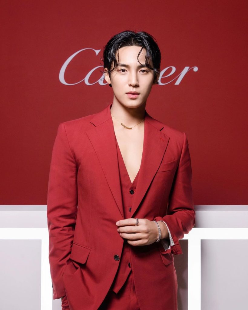 Mingyu Looks That Never Left Our Minds • POP TOKKI